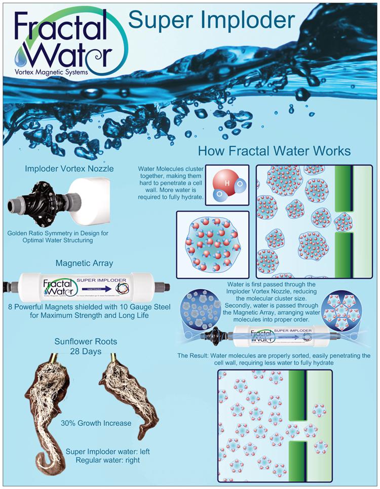 Information | Fractal Water: Vortex Magnetic Systems